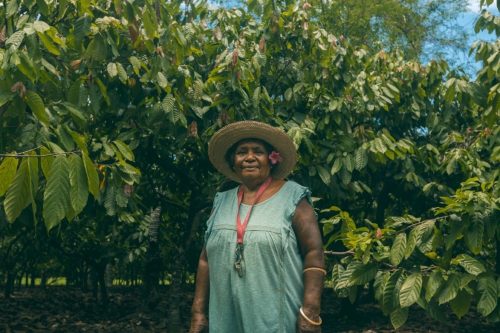 From Kokoa Farming to Agritourism - Solomon Star News