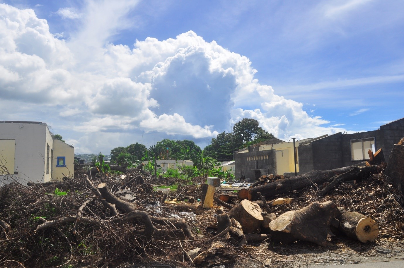 Former MHMS housing site to accommodate carpark for PG2023 - Solomon ...