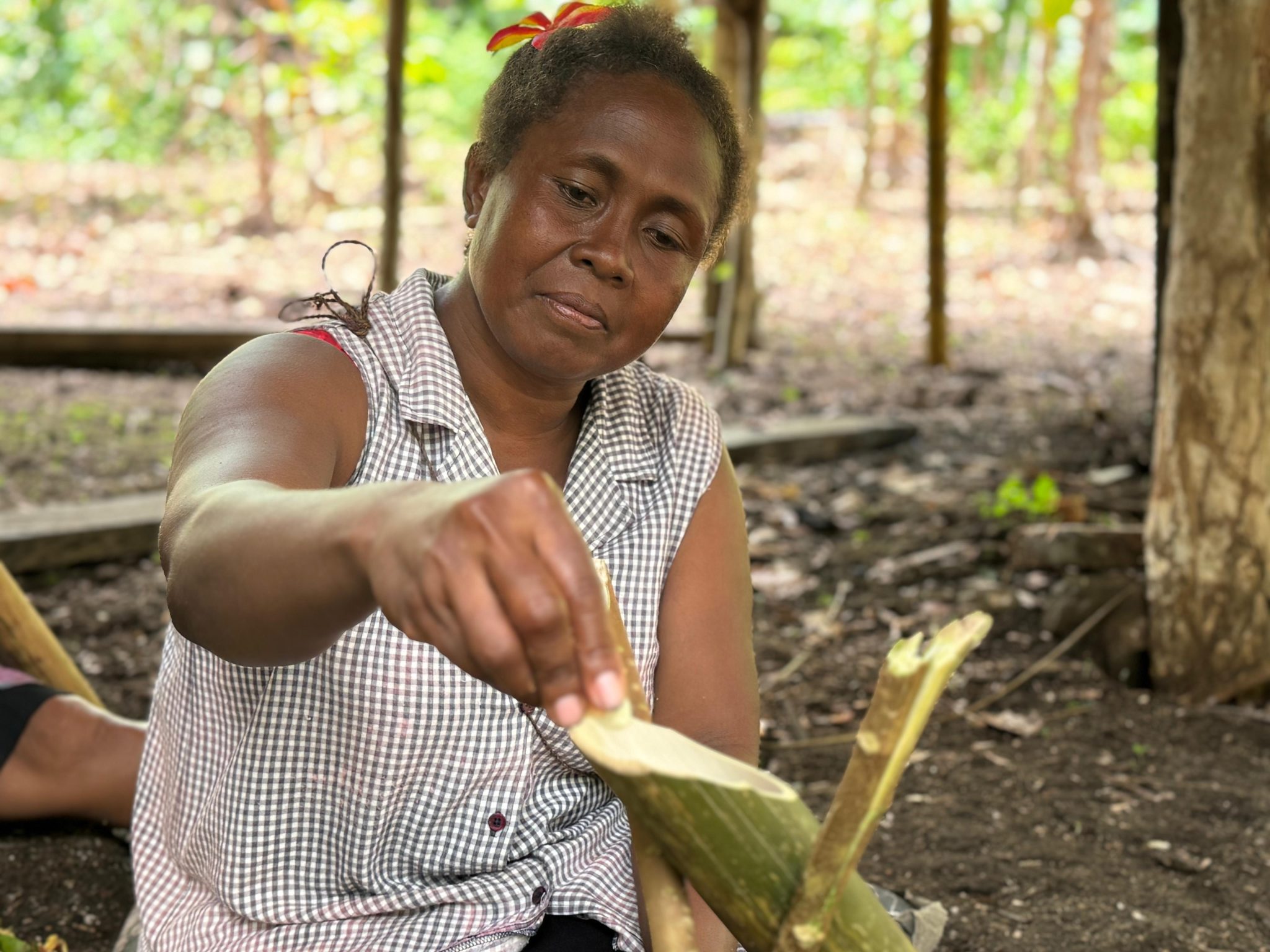 The Ofu and Bita'ama Conservation of Biodiversity project - Solomon Star News