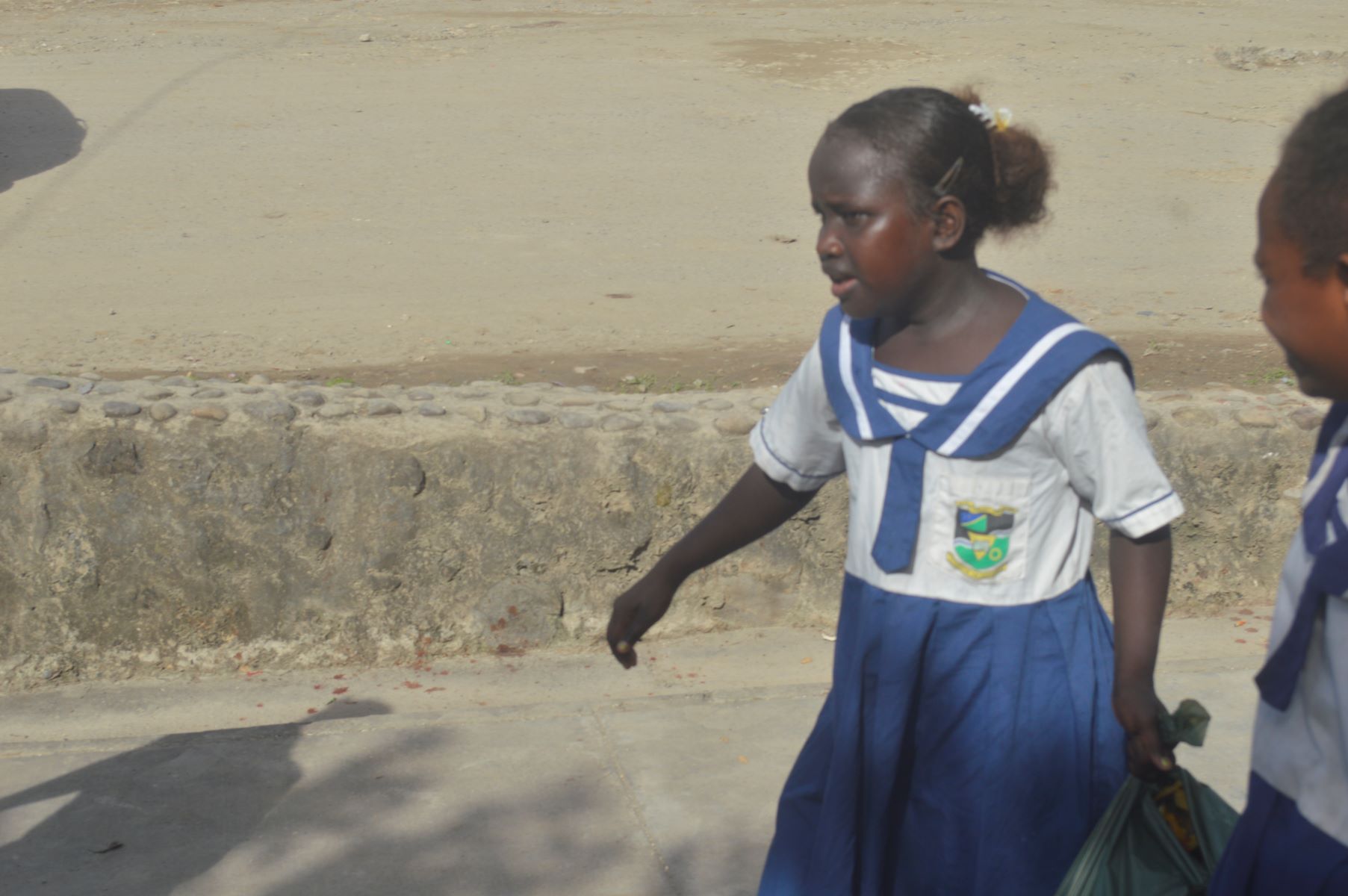 Gizo primary school students celebrate environment day with clean-up - Solomon Star News
